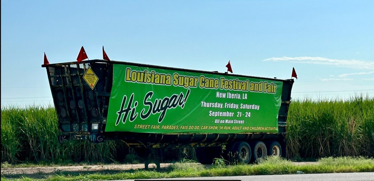 Parades, Music and Fun at the 80th annual Sugar Cane Festival in New ...